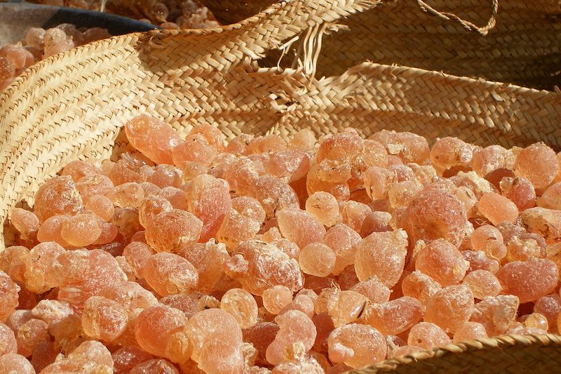 Alland & Robert welcomes US classification on acacia gum - Food and ...