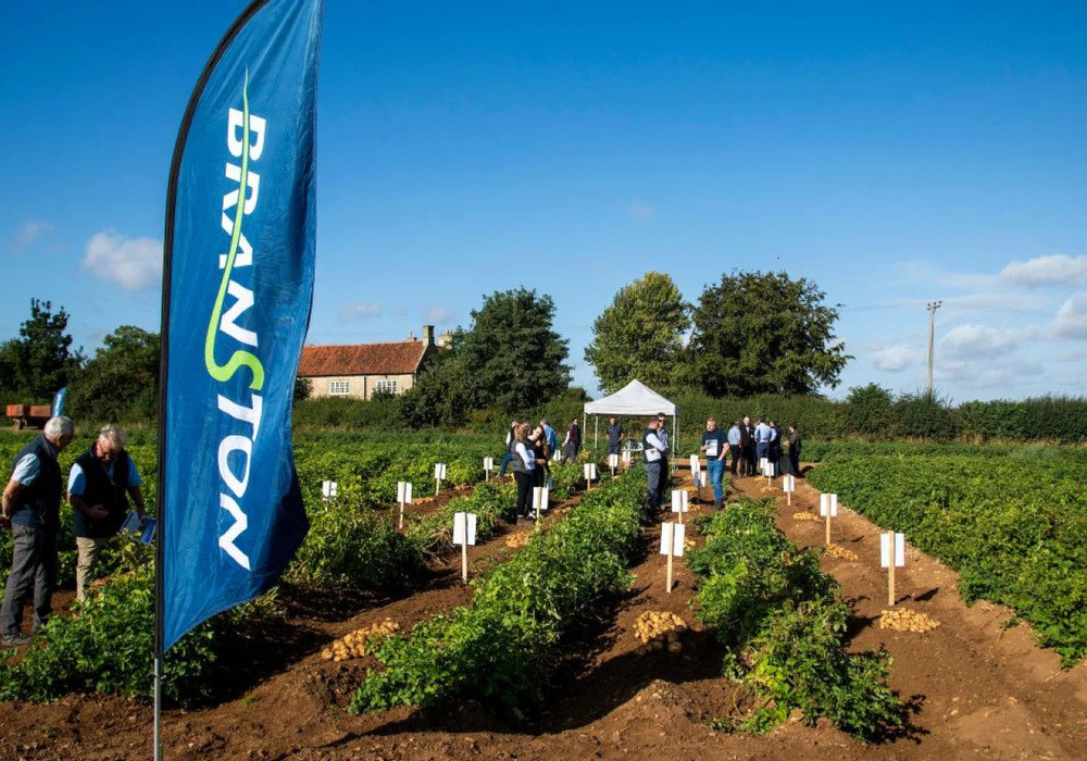 Lincolnshire's potato farmers unveil tomorrow's supermarket sensations ...