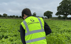 Greenvale unveils a new brand in transition towards sustainable potato ...