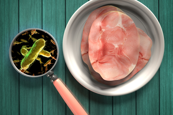 Hygiena Launches All in one Listeria L Monocytogenes Detection Method hygiena-launches-all-in-one-listeria-l-monocytogenes-detection-method