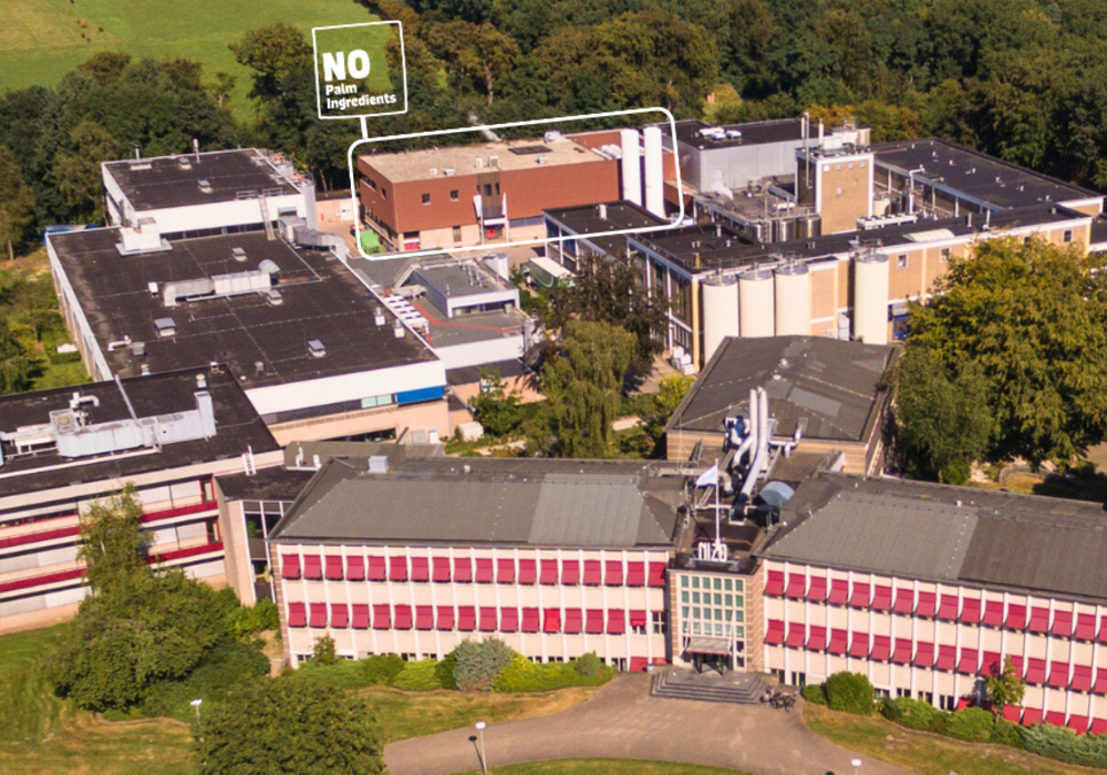 NoPalm and Nizo combine to engineer the next generation of sustainable ...