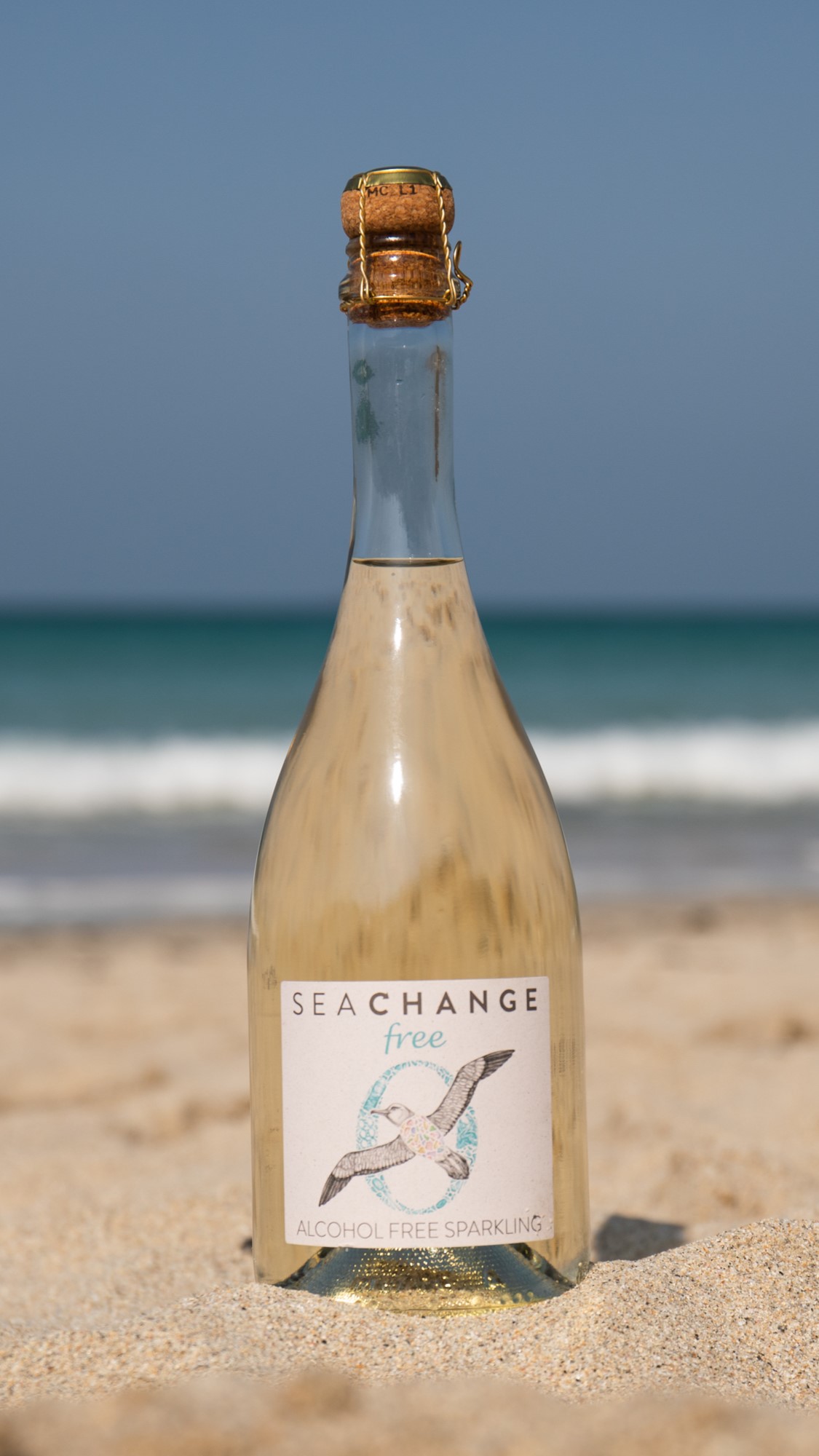 Making waves against plastic pollution - Food and Drink Technology
