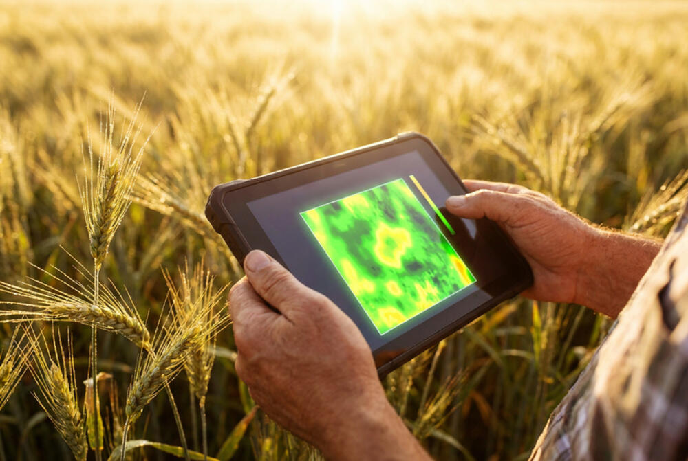 UK agri-food giants unite to build national data infrastructure for net ...