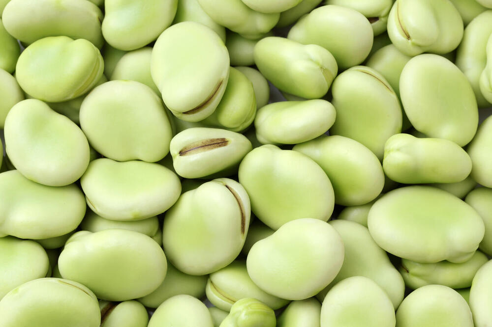 Burcon announces availability of high-purity fava protein isolate ...