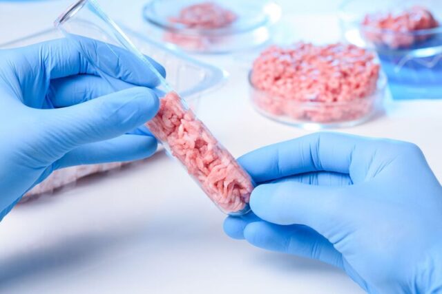Will 2023 be the year of cultivated meat? - Food and Drink Technology