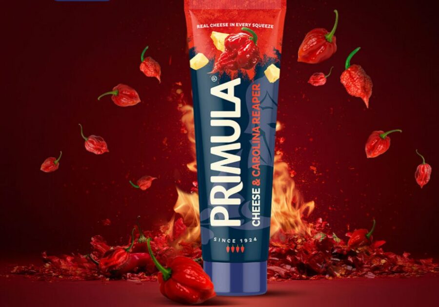 Primula adds heat to dairy favourite - Food and Drink Technology