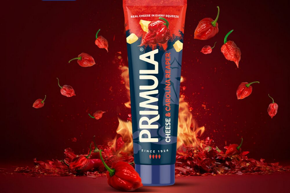 Primula adds heat to dairy favourite - Food and Drink Technology