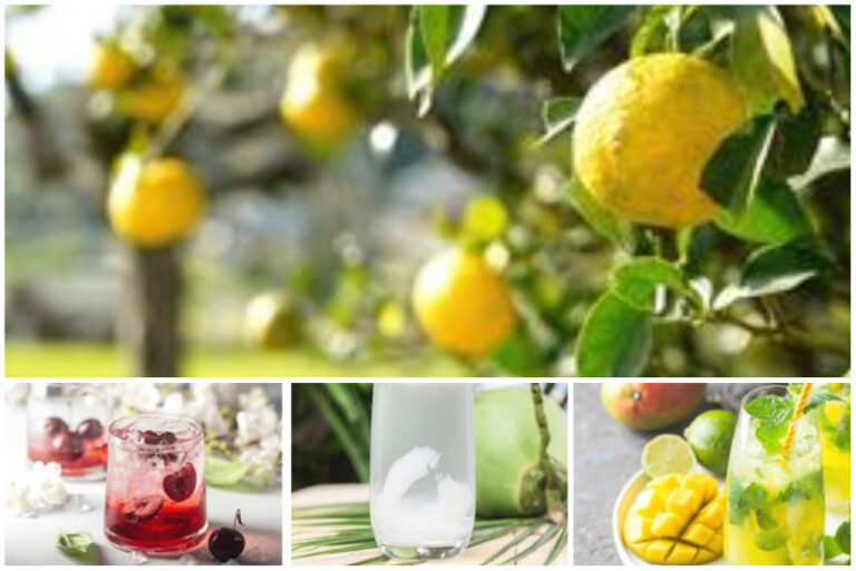 Synergy Flavours innovates cuisine pairings for low-and no-alcohol ...