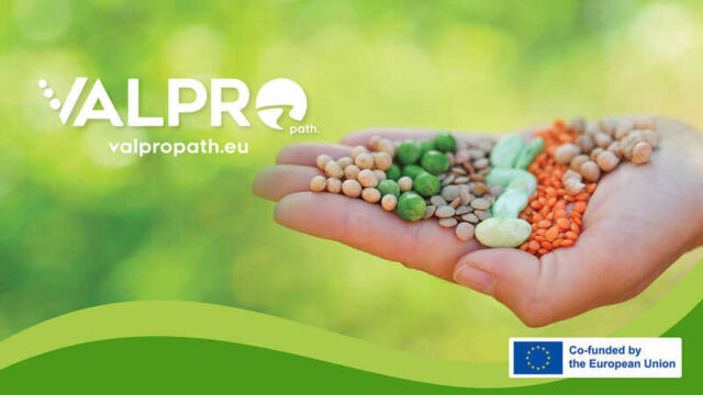 Valpro Path Project Leads The Way In Sustainable Plant Protein