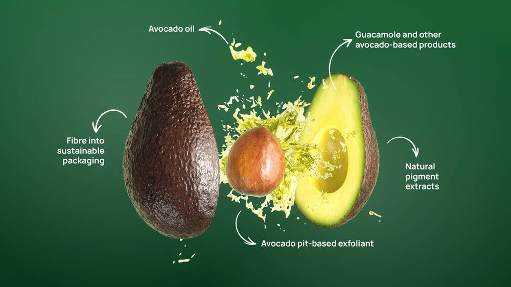 Westfalia Fruit’s ‘whole tree’ strategy redefines avocado ...